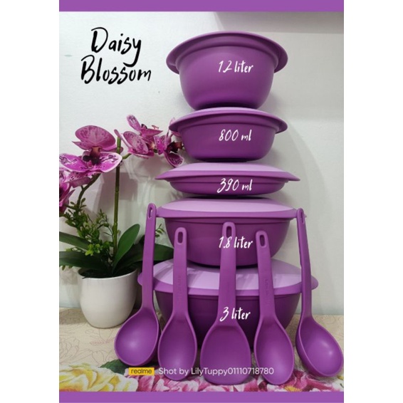 Tupperware Daisy Blossom Serveware | Shopee Malaysia