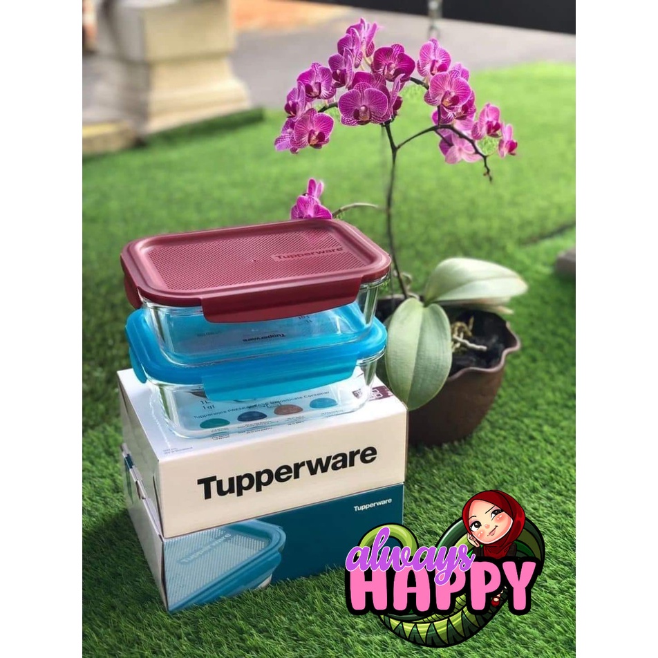 PREMIA GLASS RECTANGULAR ORIGINAL TUPPERWARE | Shopee Malaysia