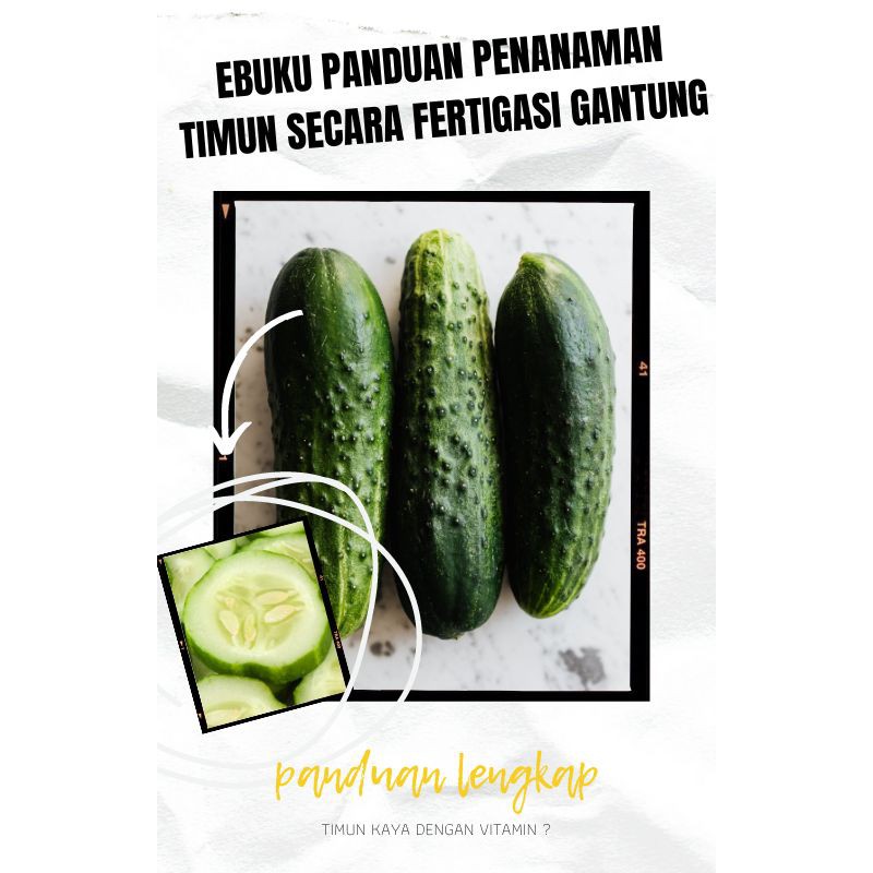 Buku panduan penanaman timun secara fertigasi gantung . tanam timun ...