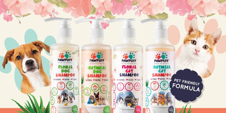 PAW PUFF, Online Shop | Shopee Malaysia