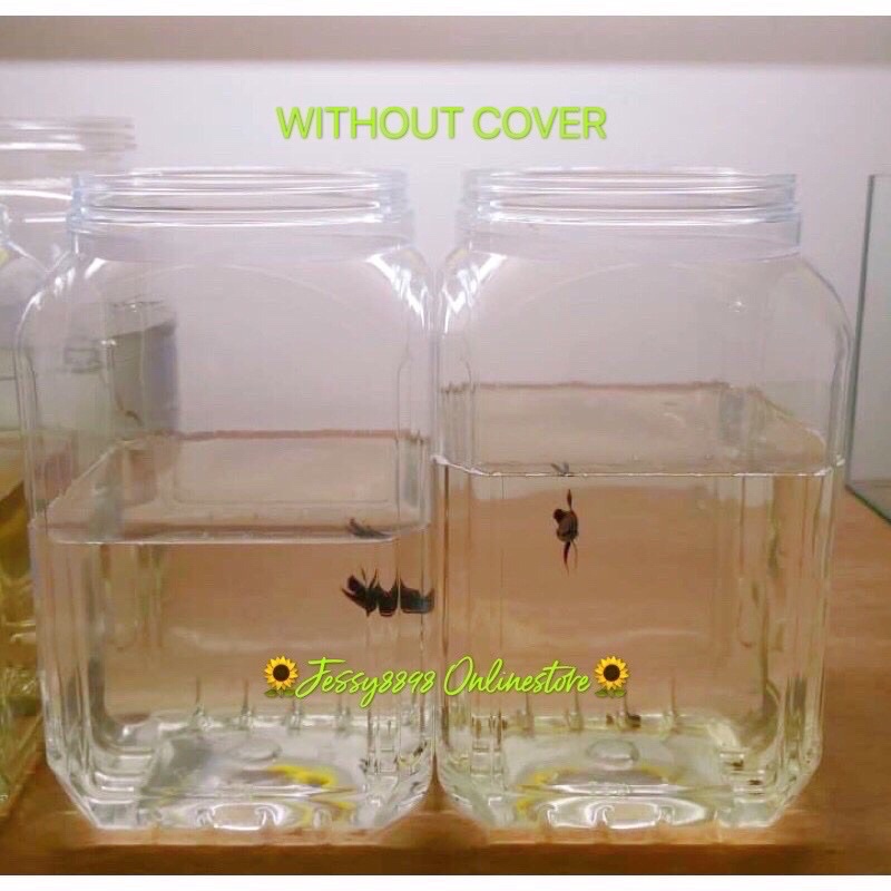 🔥Ready Stock🔥Comp Su Tank 3L NO COVER/Bekas Ikan Laga/Guppy/Betta ...