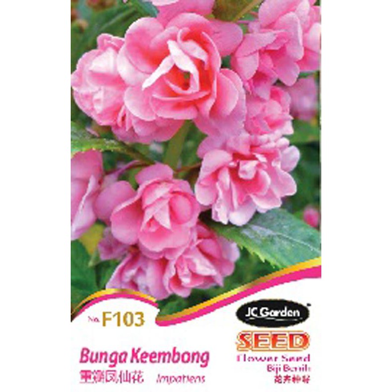 F103 BUNGA KEEMBONG IMPATIENS JC GARDEN FLOWER SEED BIJI BENIH | Shopee ...
