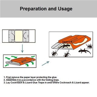 Cockroach & Lizard Glue Trap (5 traps / 10 traps) | Shopee Malaysia