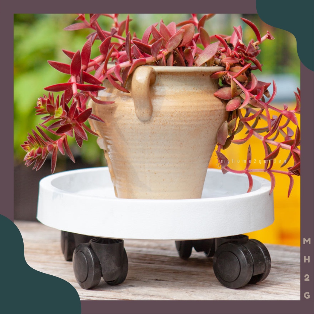 Thickened Moveable Pot Base Plant Caddy Roller Moving Tray Wheel Tray ...
