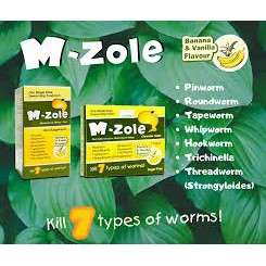 M-ZOLE CHEWABLE TABLET /SYRUP | Shopee Malaysia
