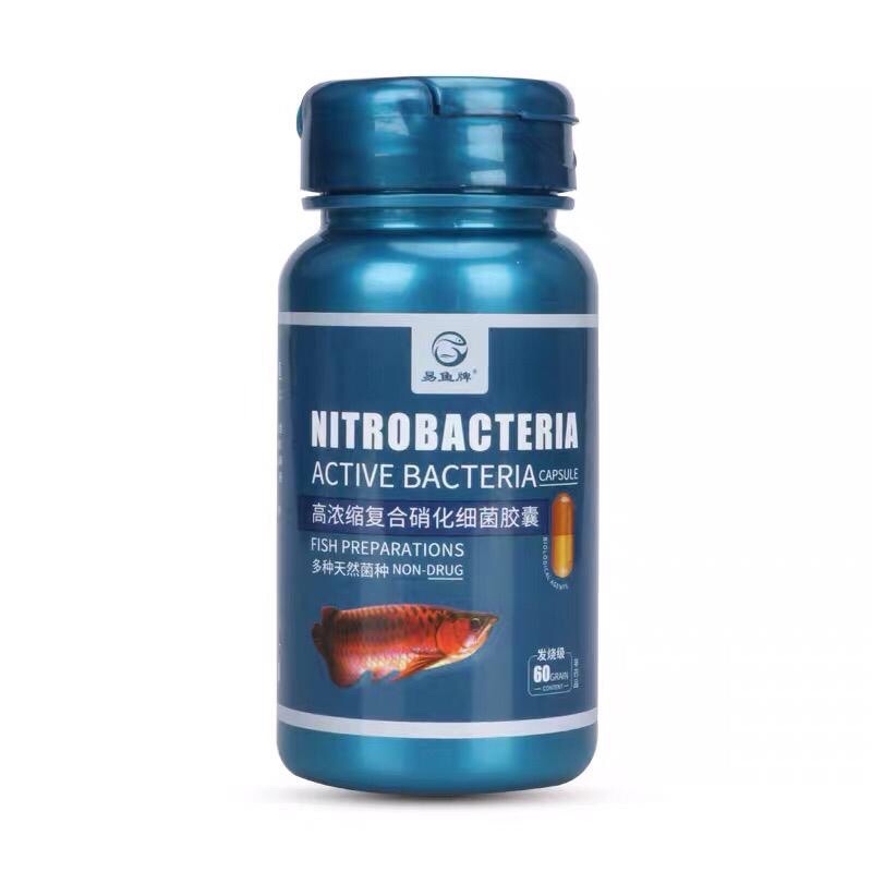 Nitrobacteria Aquarium Nitrifier Nitrifying Bacteria Capsule EM Air ...