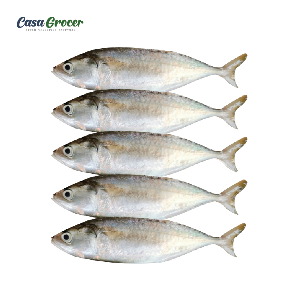 Kembong Fish 甘望鱼 (Casagrocer) | Shopee Malaysia