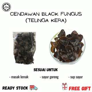 CENDAWAN HITAM / TELINGA KERA / BLACK FUNGUS / CENDAWAN / SEDAP ...