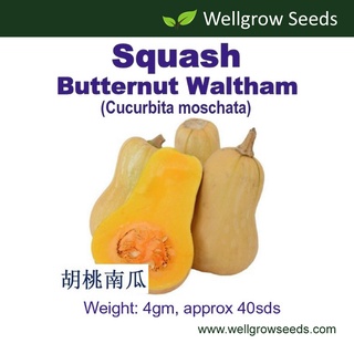 pumpkin seed - Prices and Promotions - Jul 2022 | Shopee Malaysia