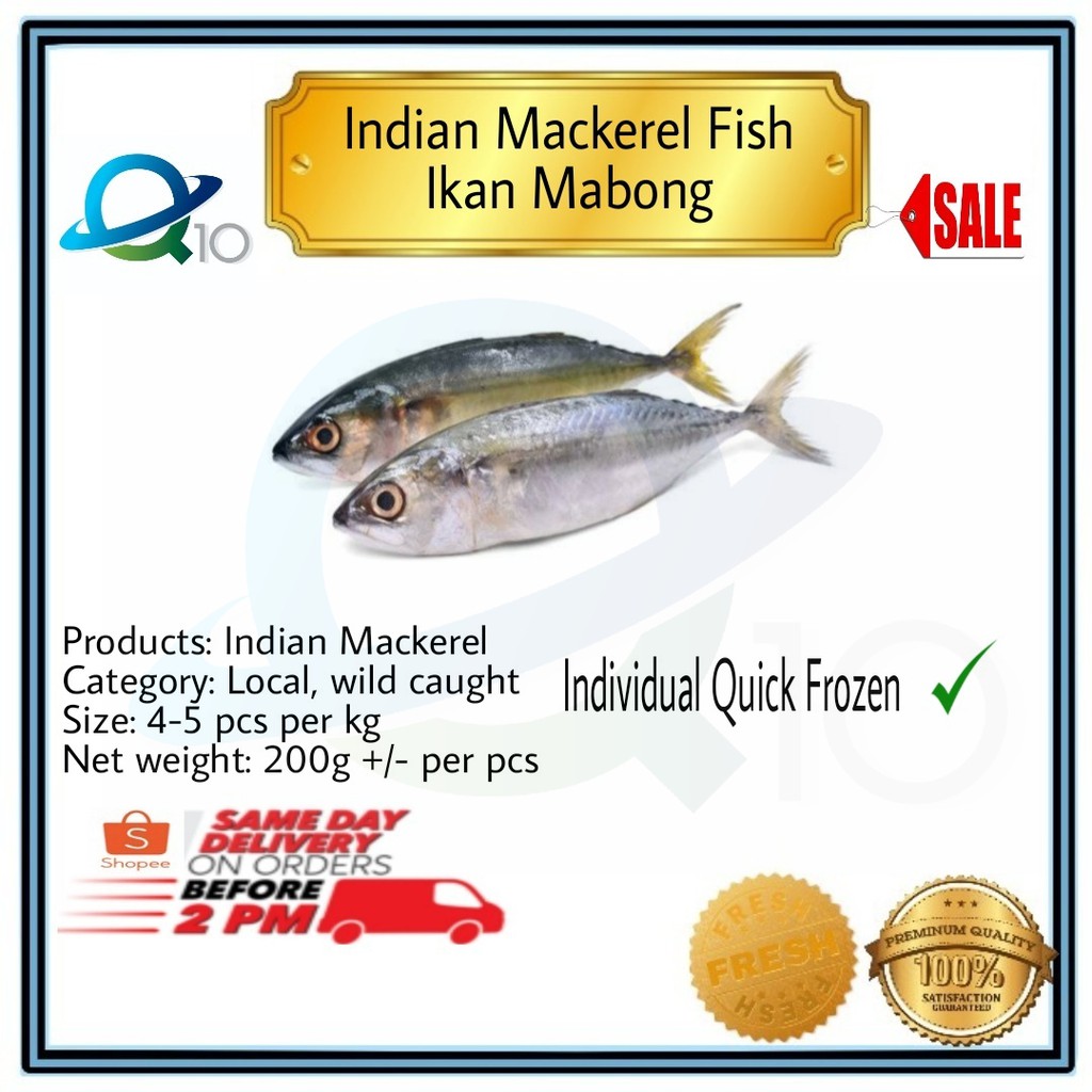 Indian Mackerel Fish, Ikan Mabong, 200G+/- | Shopee Malaysia