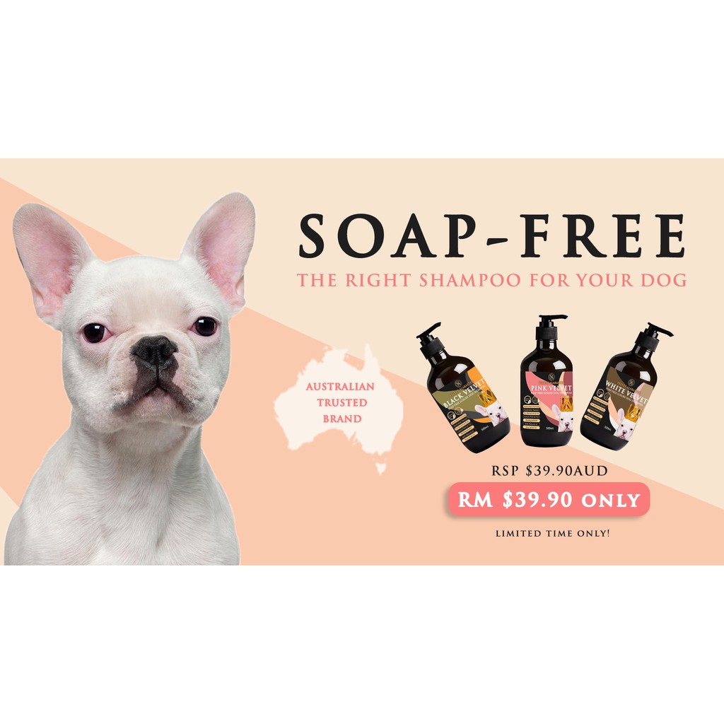 Pink Velvet Pocket Soap Free Dog Shampoo | atelier-yuwa.ciao.jp