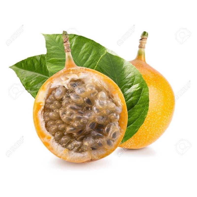 Pokok Markisa Golden Lilikoi Manis Real plant hotselling indoor outdoor ...