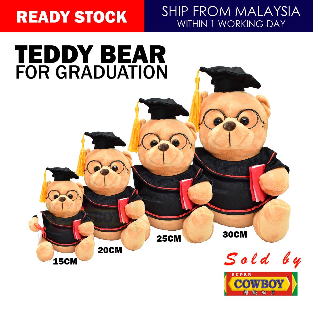 Teddy Bear Convocation Convo Cotton 15cm 20cm 25cm 30cm Graduation ...