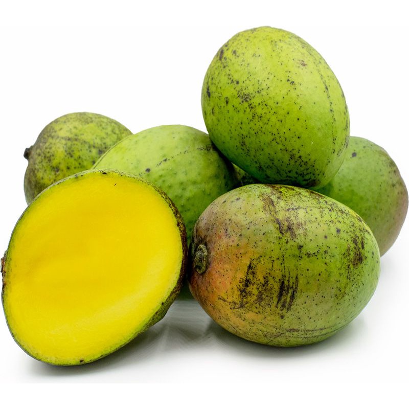 Promotion 9.9 Anak Pokok Kuini, Kwini, Kweni , Saipan Mango READY STOCK ...