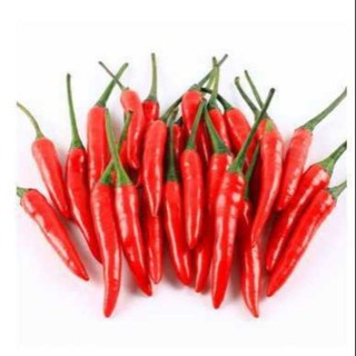 Chilli MERAH / Cili Api (kecil) (100gm) | Shopee Malaysia