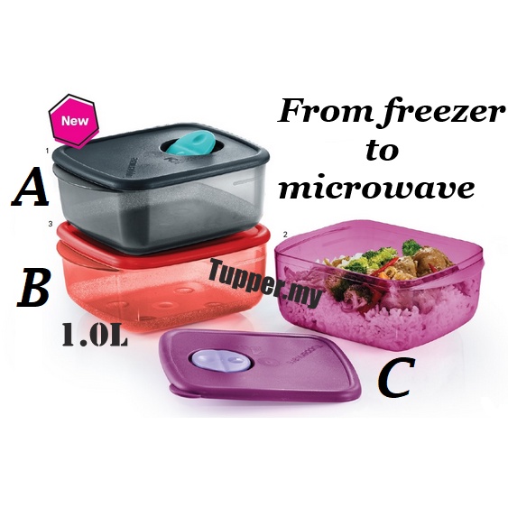 *C 1pc*Tupperware Rock N Serve Square 1L OR Rectangular Freezerable ...