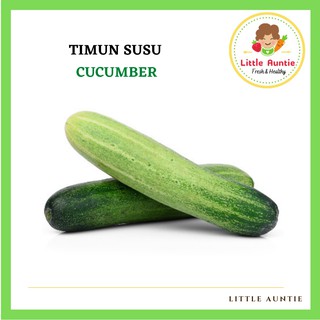 cucumber - Prices and Promotions - Oct 2022 | Shopee Malaysia