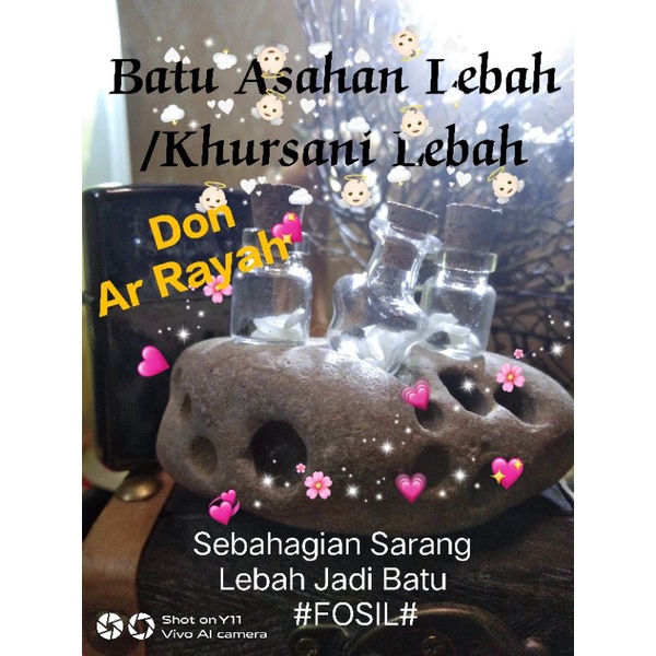 Batu Asahan Lebah(Batu tempat Lebah/ratunya mengasah bisanya) | Shopee ...