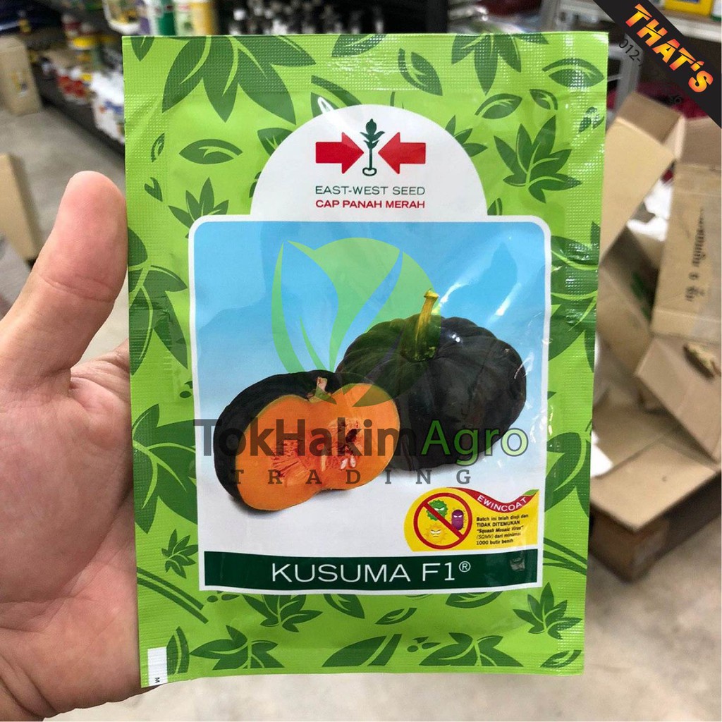 Benih Labu KUSUMA Hibrid F1 Cap Panah Merah/East West (225biji ...