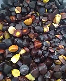 Kerdas / Genuak / Buah Kerdas kopek / buah kabau fresh 250 gram ...