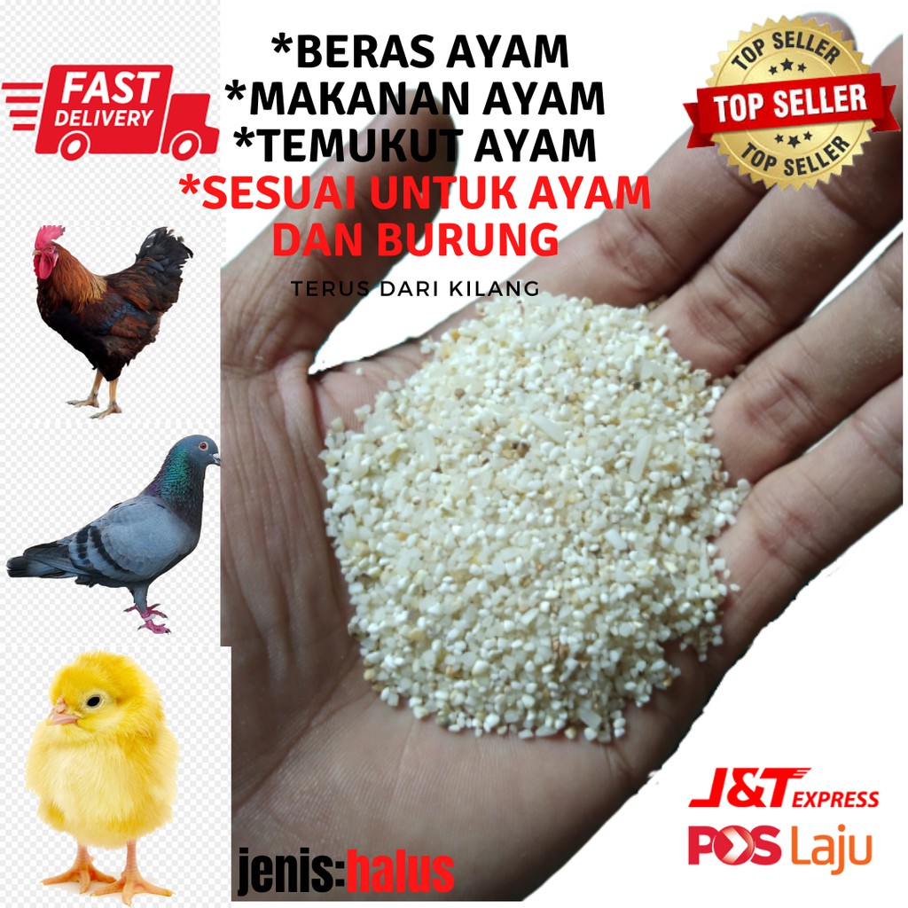 [READY STOCK 1KG](HALUS) Chicken Feed/ Makanan Ayam/ Beras Hancur ...