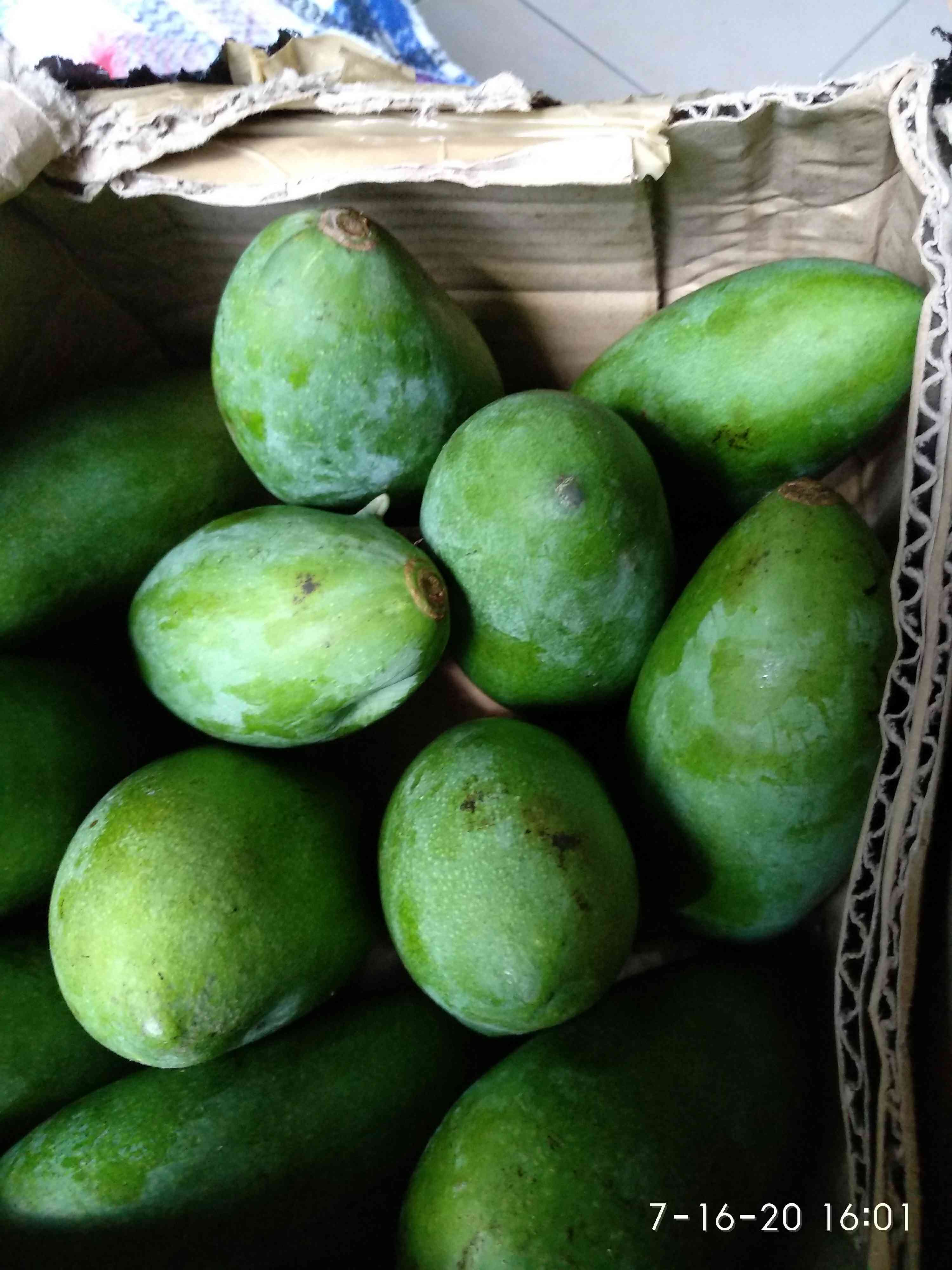 BUAH PAUH LEMAK / MANGGA LEMAK MANIS | Shopee Malaysia