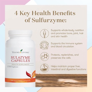 Young Livings Sulfurzyme Dietary Supplement Capsules /180 Capsules (EXP ...