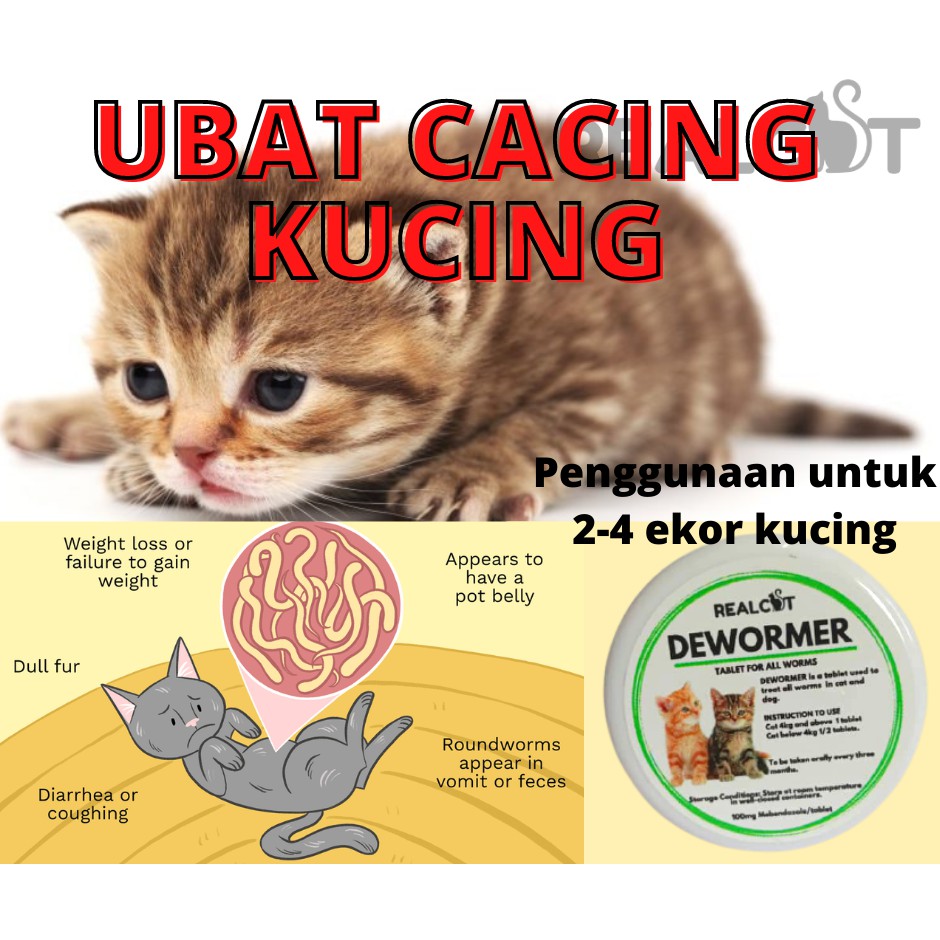 Ubat Cacing Kucing Dewasa Deworm Cat Tablet Dewasa (2-4 EKOR KUCING ...