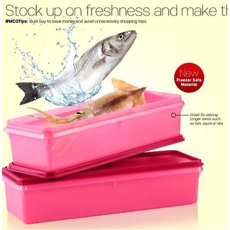 Tupperware Keeper Fish 2.7 liter ( 1 pc) | Shopee Malaysia