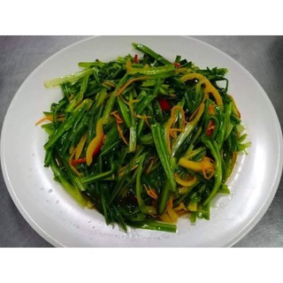 Qing Long Cai🌱青龙菜苗🌱🌱🌱 | Shopee Malaysia