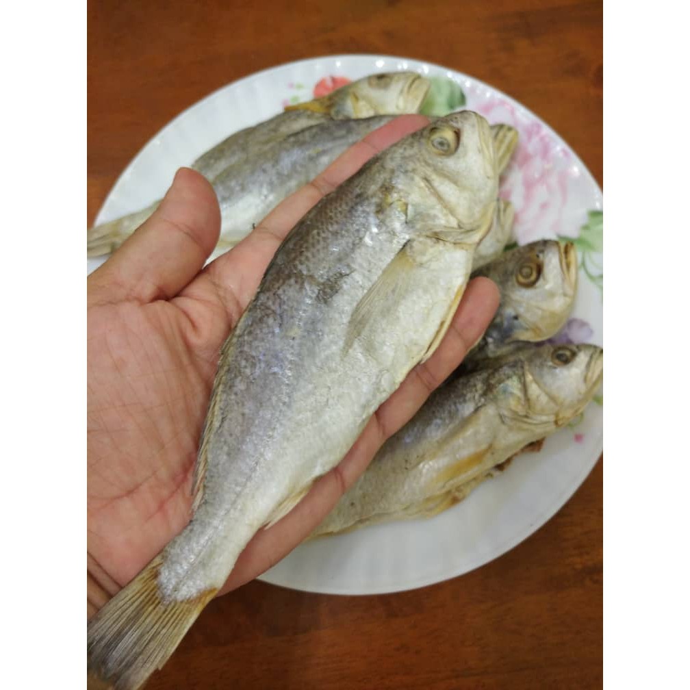 Ikan Gelama Masam Ori Pulau Langkawi .. Sedap dan Penaik Selera Makan ...