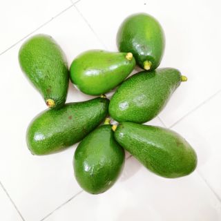 [Malaysia Ready Stock] 1kg Fresh Avocado from Cameron Highlands - Pick ...