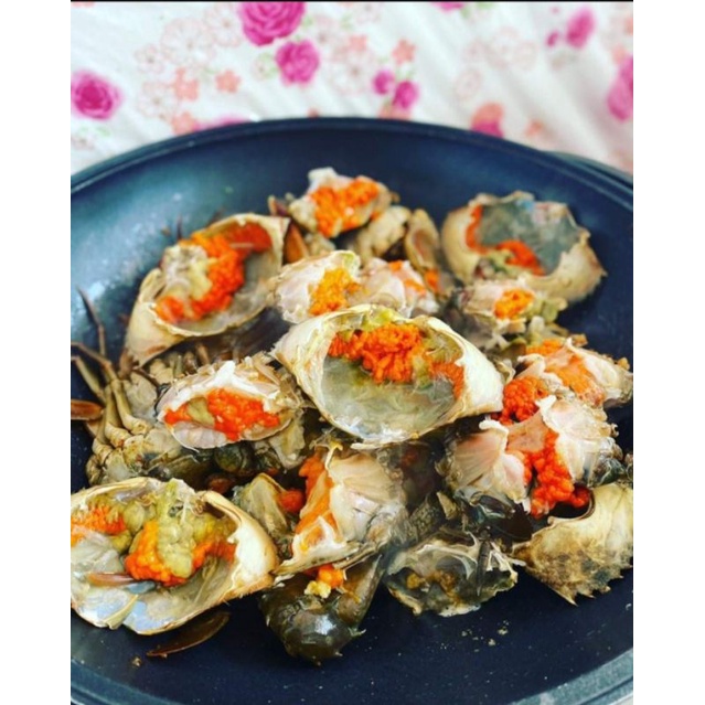 KETAM NIPAH BERTELUR GRED A FROZEN[READY STOCK] | Shopee Malaysia