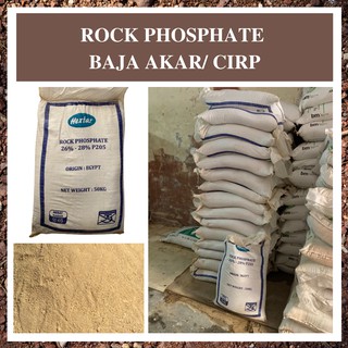(Premium Imported) 1kg Repack Baja Penggalak Akar CIRP/ERP Egyptian ...