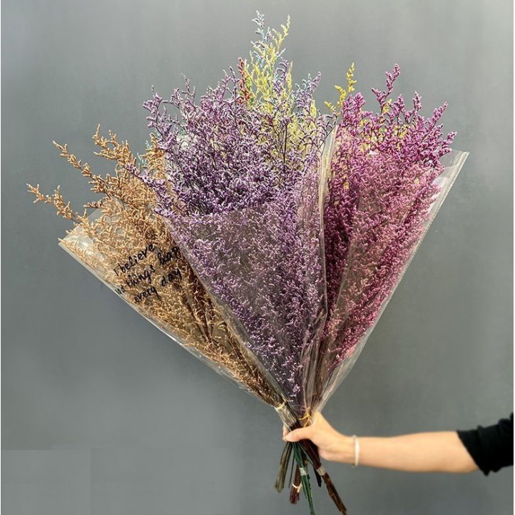 Premium Quality 20/50/100gram Caspia | Preserved Dried Flower | Bouquet ...