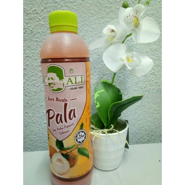 🔥ORIGINAL🔥JUS BUAH PALA PAK ALI | Shopee Malaysia