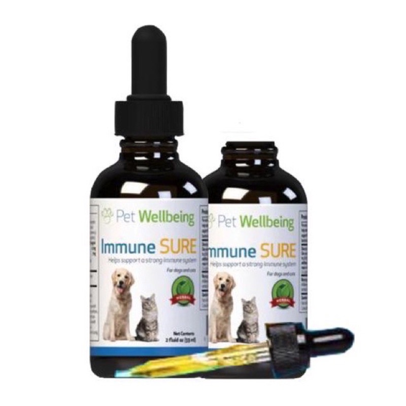 Ubat Immune Sure Selsema & Vitamin kucing dan merawat penyakit immune ...