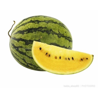 Benih Buah Tembikai Kuning Manis | Shopee Malaysia