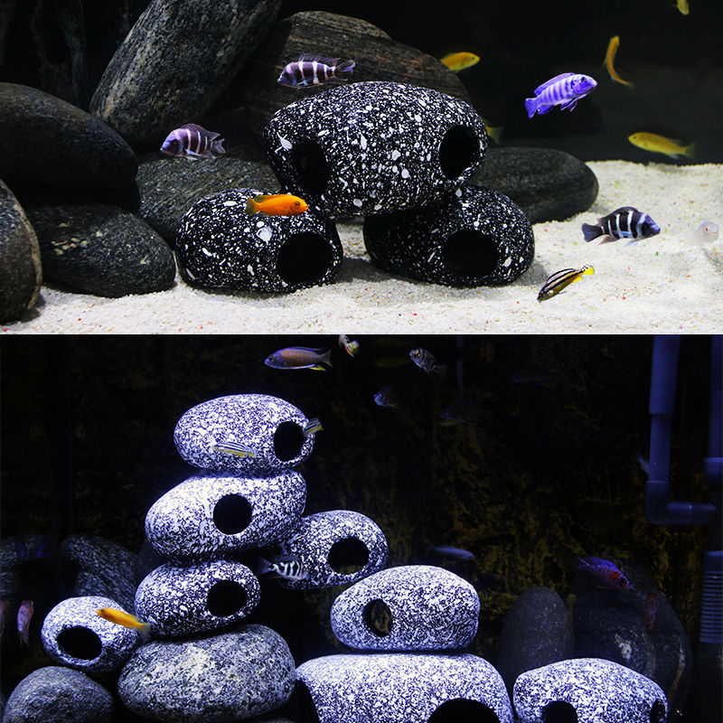 Ikan dan Udang Rumah Pembiakan Tangki Jenahak Khas Batu Jenahak Pendek ...