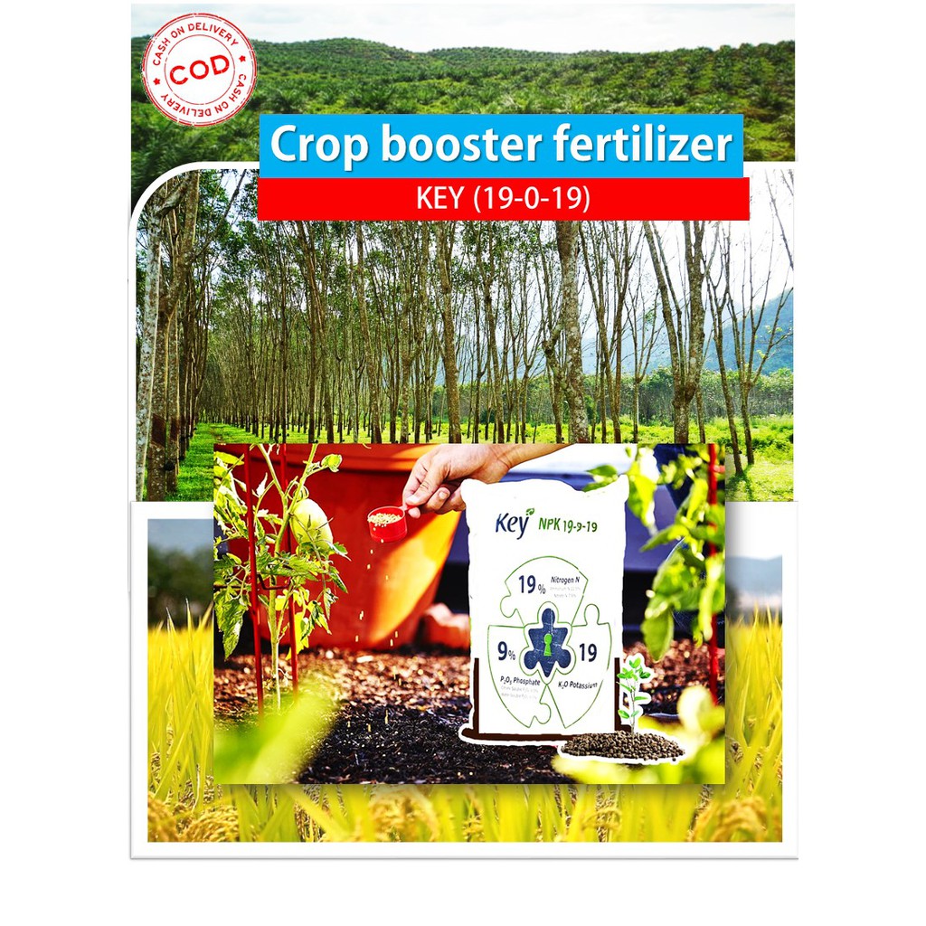 Guide To 20-20-20 Fertilizer: Why, When How To Use It, 44% OFF