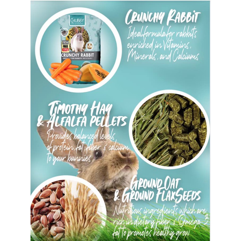 Chubby Crunchy Rabbit [1.5kg] | Shopee Malaysia