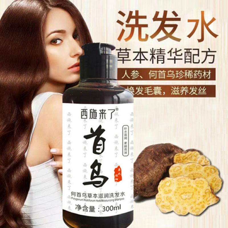 Herbal Natural Polygonum Multiflorum Shampoo 300ml | Shopee Malaysia