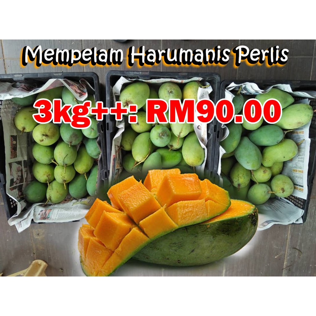 Buah Mangga Harumanis Perlis Musim 2021 | Shopee Malaysia