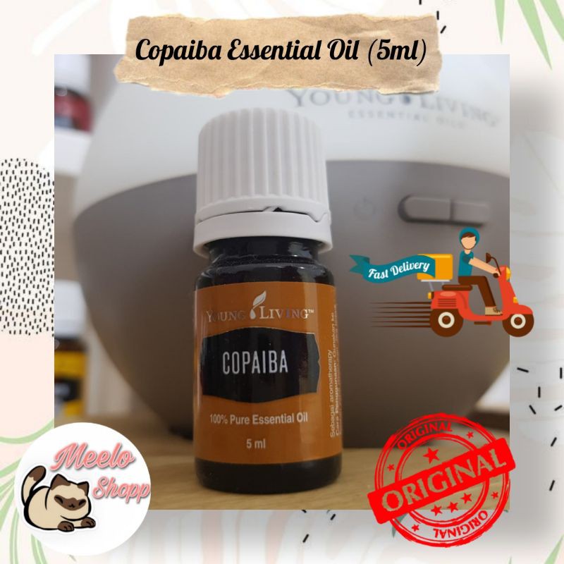 Young Living Copaiba Essential Oil (5ml) (READY STOCK) | Shopee Malaysia