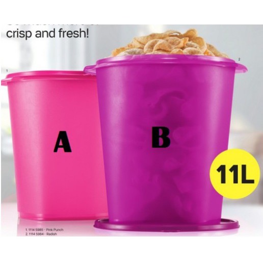Tupperware Deco Canister 11L (Pink / Purple) | Shopee Malaysia
