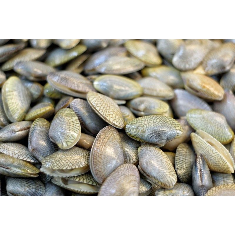 HALAL Frozen Lala/Clam(1kg) | Shopee Malaysia