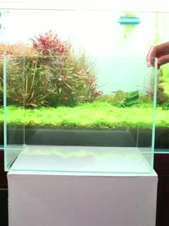 Aquarium Mat Safety Base Mat Pad Underlay Universal Bottom Protection ...