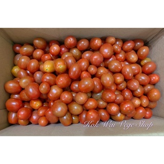 500g Cherry Tomatoes Cameron Highlands/ 500g Ceri Tomato Ceri 金马伦樱桃小番茄 ...