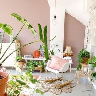 SINAR JOTUN 2992 DELIGHTFUL PINK 1L MAJESTIC TRUE BEAUTY SHEEN INTERIOR ...