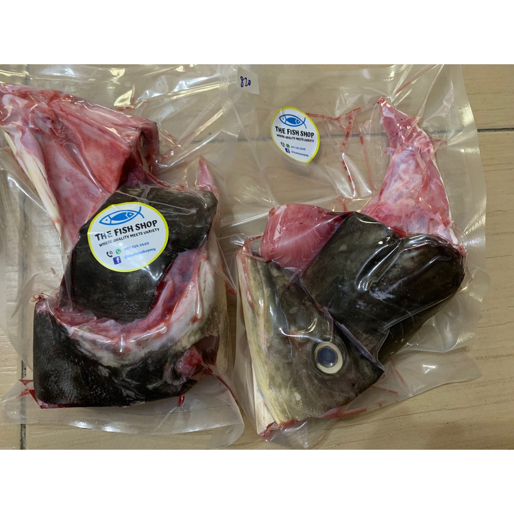Ikan Haruan Tasik/ Cobia Half Portion Head | BeeCost